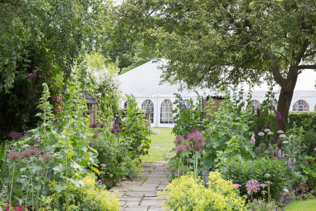 Kent Meadow | Kent Business Radio